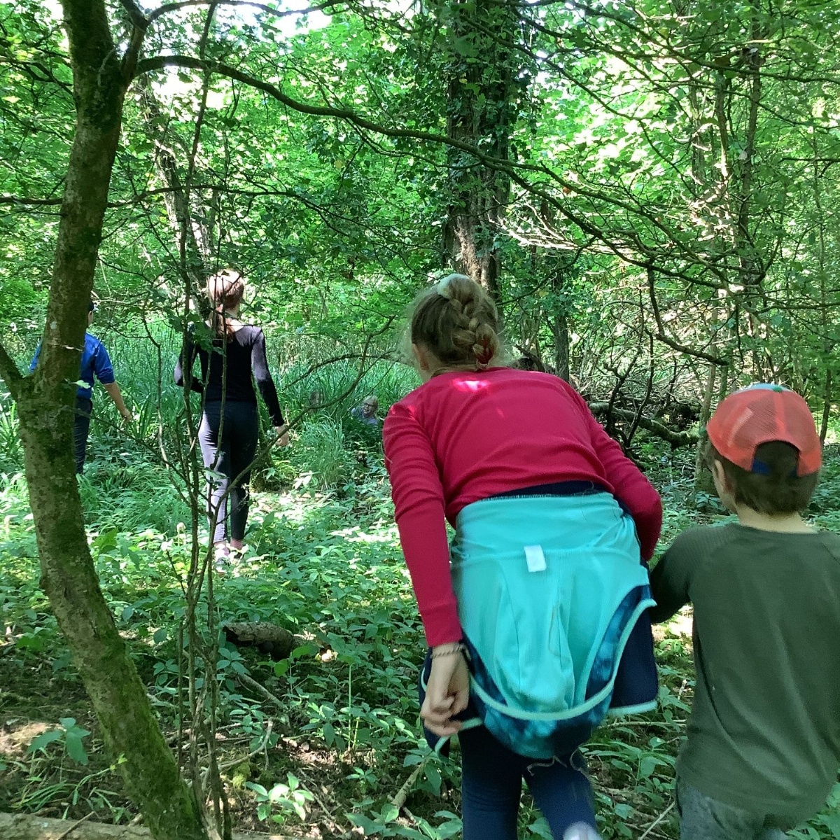 Stanton St Quintin - Predator Tracks Prey